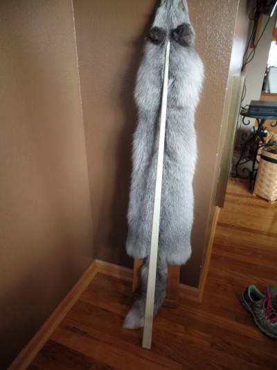 Bobcat For Wooden Stretchers